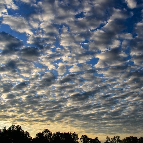 Dashboard - Daily Ecuador